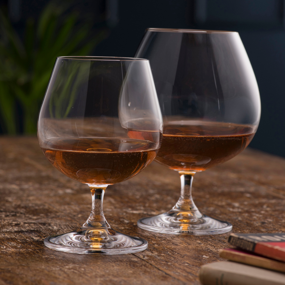 Brandy Glass Set