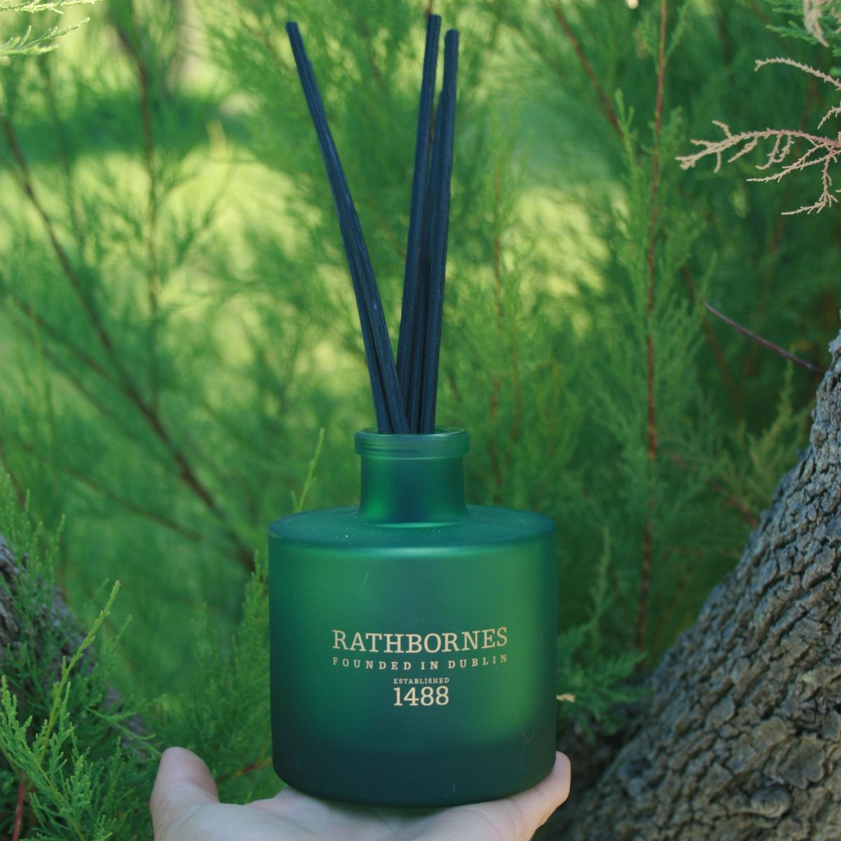 Dublin Retreat Diffuser | Meadows & Byrne